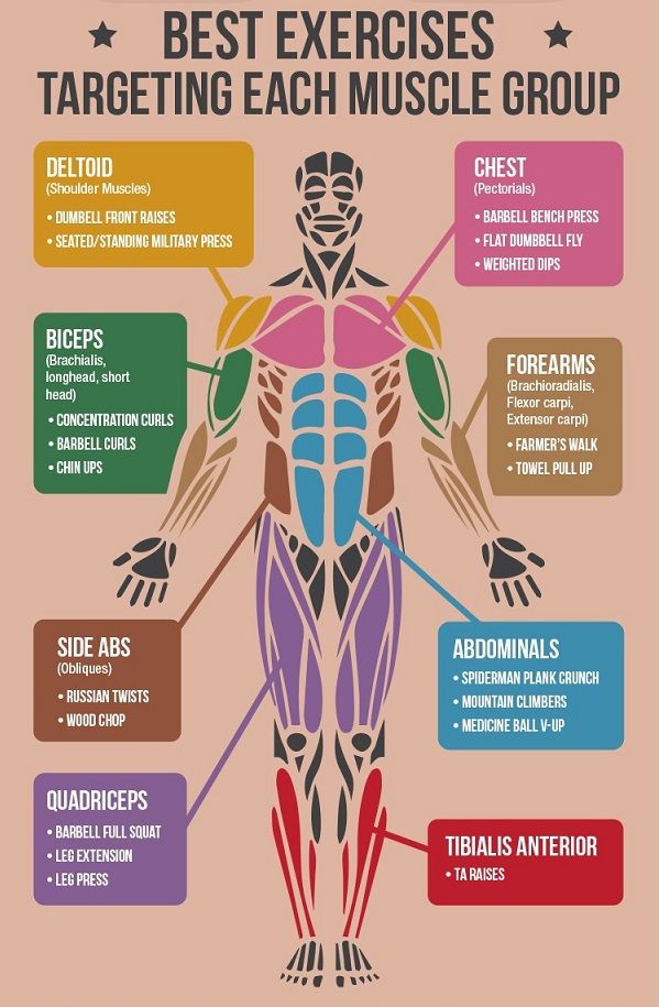 Which Exercise To Do For A Targeted Body Part XtremeNoDirect